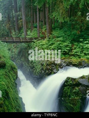 Sol Duc Falls in Sol Duc Valley are called the most beautiful falls in ...