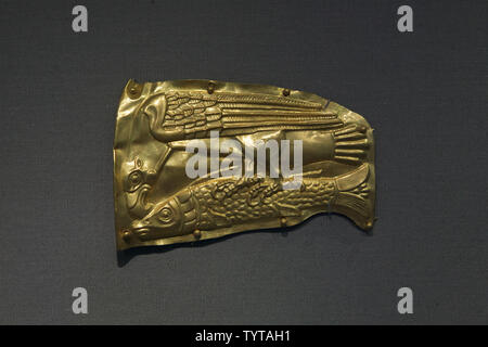 hunt for gold fish Stock Photo - Alamy