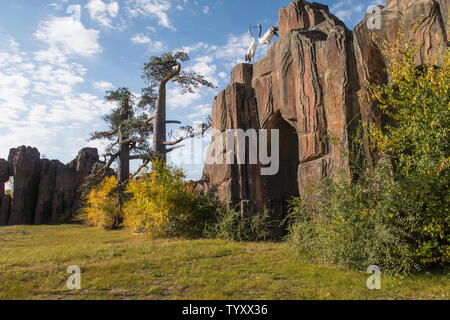 Golden Autumn Hailar National Forest Park Stock Photo - Alamy
