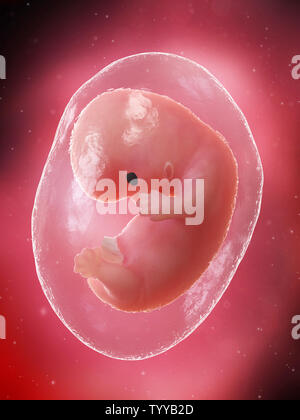 3d rendered medically accurate animation of heart and blood vessels ...