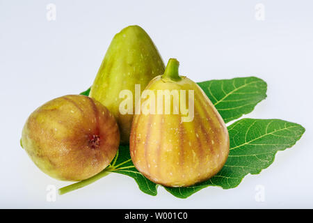 Fig HD pictures Stock Photo - Alamy