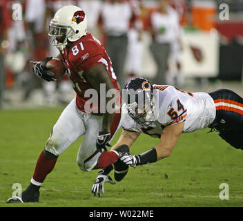 Arizona Cardinals wide receiver Brian Cobbs makes a catch during NFL ...