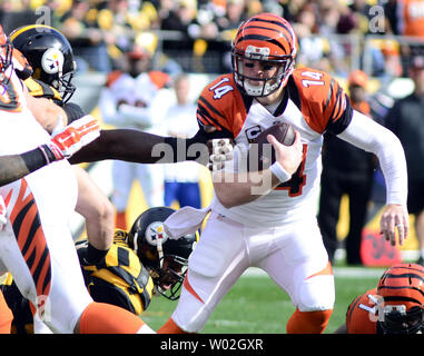 Cincinnati Bengals defensive end Cam Sample plays during an NFL ...