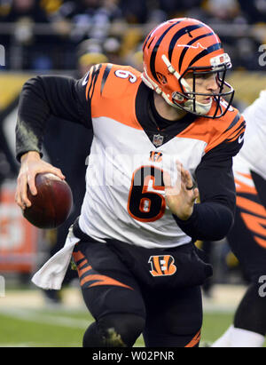Cincinnati Bengals quarterback Jeff Driskel throws during an NFL ...