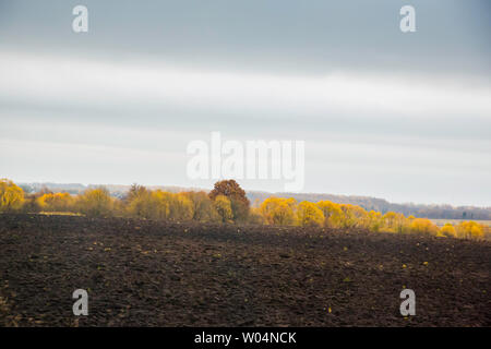 Golden Autumn, Russian, Eastern European plains pastoral scenery Stock ...