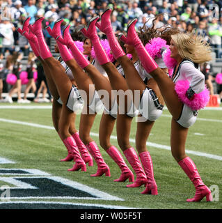 Seattle Seahawks Seagals Dance Squad performs during a time out in the ...