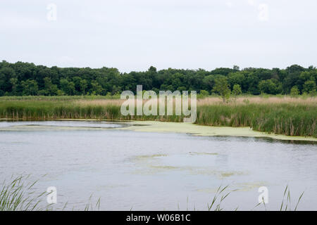 Rice Marsh Lake, Minnesota Stock Photo - Alamy
