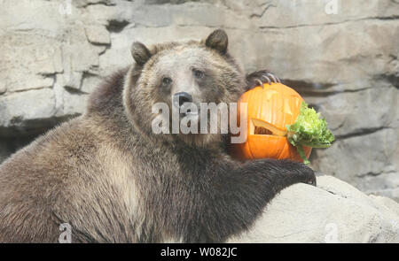 Crowd gathered around St. Louis Cardinals baseball players during the ...