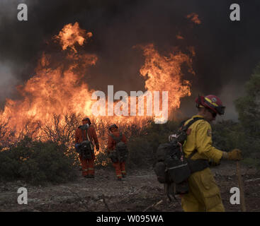 Firefightersl set a backfire along a ridge in Colusa County, California ...