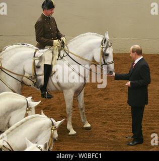 Russian President Vladimir Putin riding the horse at the spurs of the ...