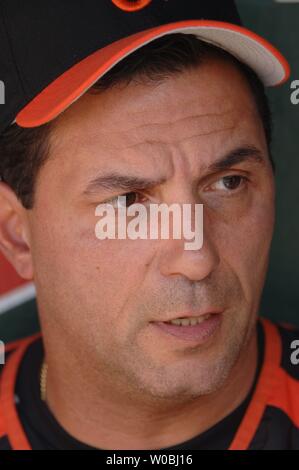 Lee Mazzilli, manager of the Baltimore Orioles, looks out over his team ...