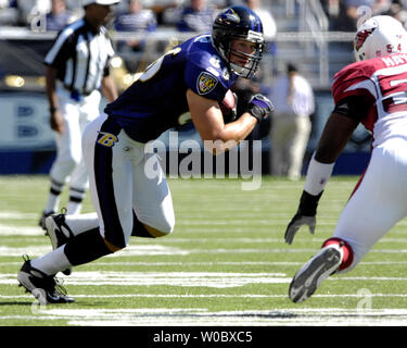 Arizona Cardinals tight end Todd Heap stands on the bench during an NFL ...