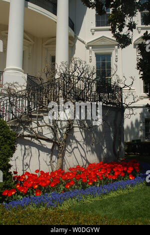 The White House Spring Gardens and Grounds Tours. View of the crowd ...
