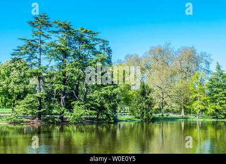 France, Gironde, Bordeaux, lake in the Parc Bordelais Stock Photo - Alamy