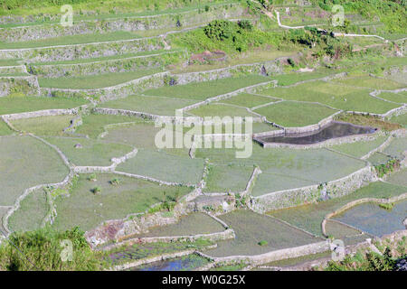Hapao rice terraces, near Banaue, Philippines Stock Photo - Alamy