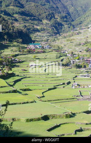 Hapao rice terraces, near Banaue, Philippines Stock Photo - Alamy