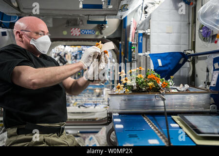 International Space Station growing veggies in space. A botany research ...