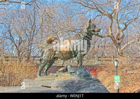 Statue of Balto in New York City's Central Park at night after a Stock ...