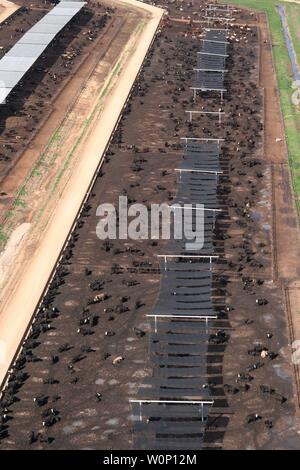 Killara Feedlot northern nsw Stock Photo - Alamy