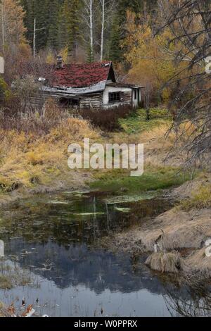 old decrepit abandoned wood house in disrepair Stock Photo - Alamy