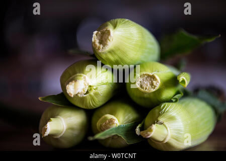Fresh corn on cobs on a dark background Stock Photo - Alamy
