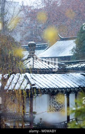 Junyuan plum blossom Stock Photo - Alamy