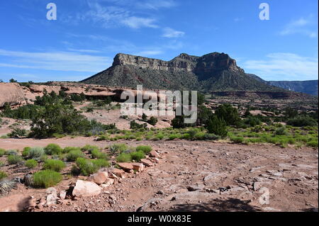 Tuweep Campground and surroundings in Grand Canyon National Park ...