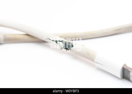 Broken torn wire on white background. Damaged electrical cord. Rats or ...