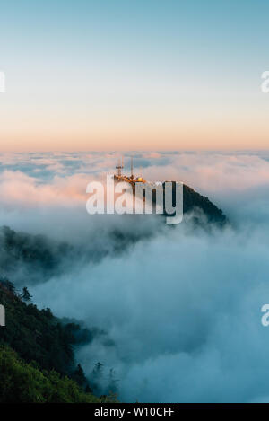 View of marine layer low clouds over Los Angeles at sunset, from Mount ...