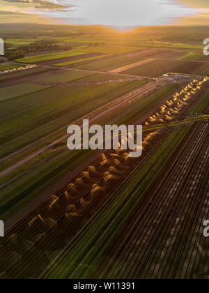 Aerial of "Dicky Bill" salad farm near Wallaville Queensland Australia ...