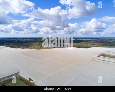 Aerial of netted fruit commercial orchard near Childers Queensland ...