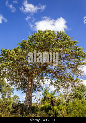 An aerial view of vast landscape in the countryside Stock Photo - Alamy