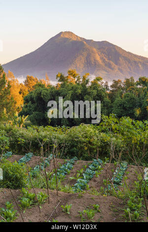 Telomoyo mountain sunrise view from Semarang, Indonesia Stock Photo - Alamy