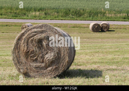 Rolls of haystack during day time Stock Photo - Alamy
