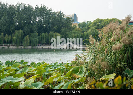 Daming lake in Jinan Stock Photo - Alamy