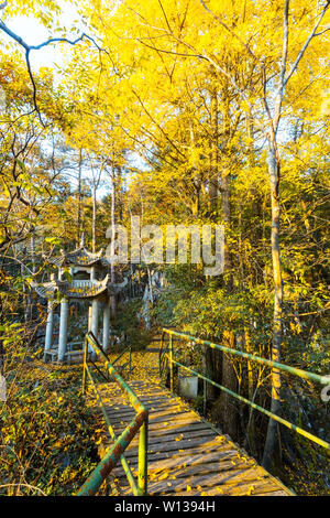 Pathway in the downhill Stock Photo - Alamy