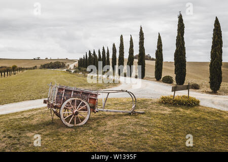 A wooden manual plough in a vineyard during daytime on a sunny day ...