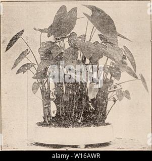 Image from page 243 of 'The White Hills, etc' Stock Photo - Alamy