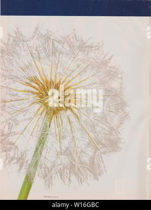 poster advertising Delta Air Lines in paper magazine from 1997 year ...