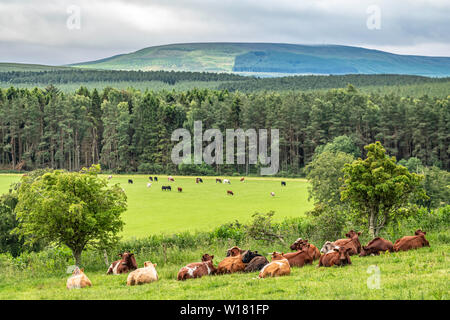 Scottish Border on A68 July 2015 Stock Photo - Alamy