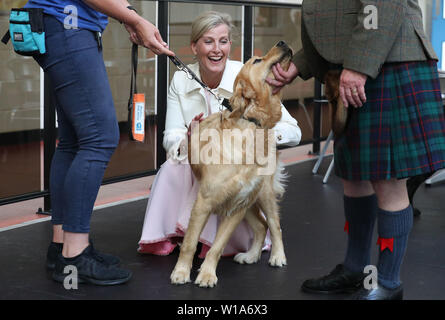 The Countess of Forfar reacts to a guide dogs interest in the Provosts ...