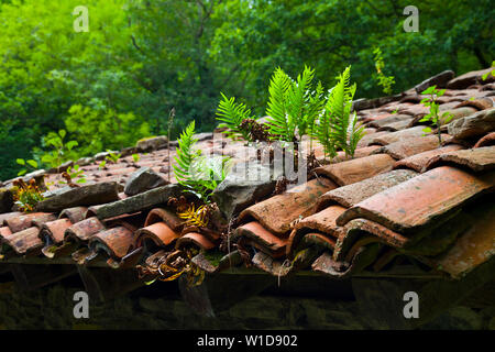 Waterwheel. Pagoeta Natural Park. Aia Valley. Gipuzkoa. Basque Country ...
