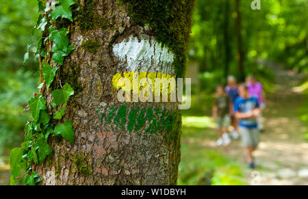 Pagoeta Natural Park. Aia Valley. Gipuzkoa. Basque Country. Spain Stock ...