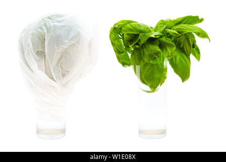 A basil plant wrapped in plastic is an unusual preservation method ...