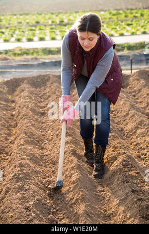 Portrait of adult female worker weeding with hoe beds at organic ...