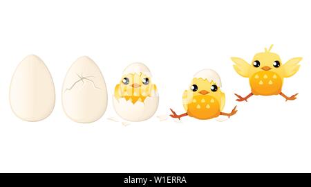 Hatching process. Vector cartoon illustration. White background Stock ...