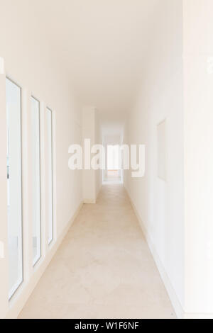 Empty Modern Hallway with Wooden Doors Stock Photo - Alamy