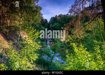 Mysterious River Grabia in spring day, Poland Stock Photo - Alamy
