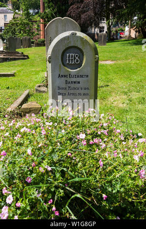 Charles Darwin's Grave Stock Photo - Alamy