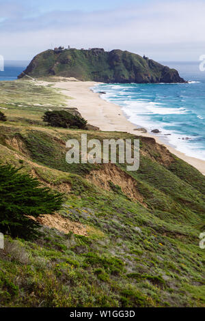 Point Sur Light Station State Historic Park, charlock flowers, view ...
